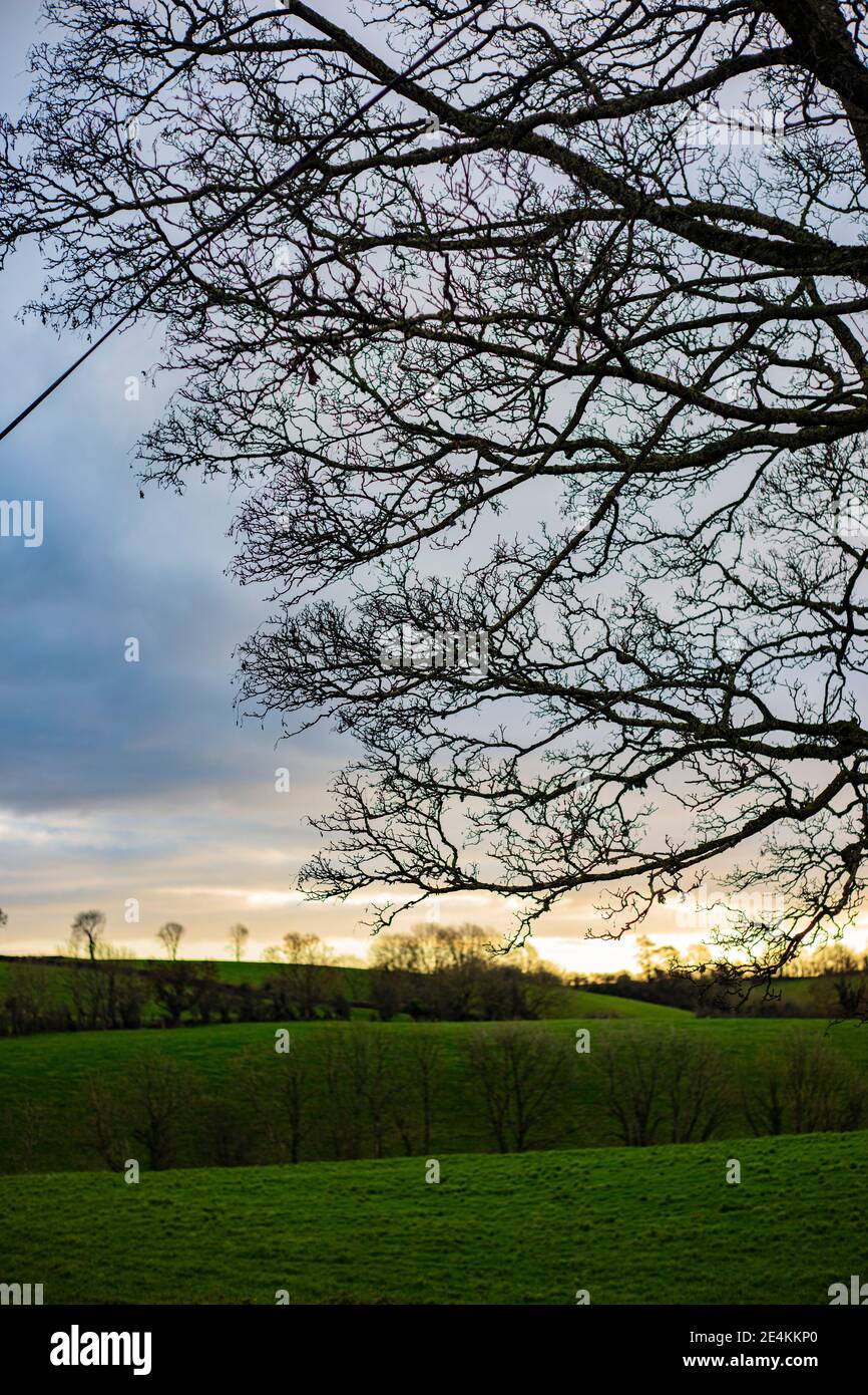 The rural landscape of Co. Monaghan, Ireland Stock Photo - Alamy