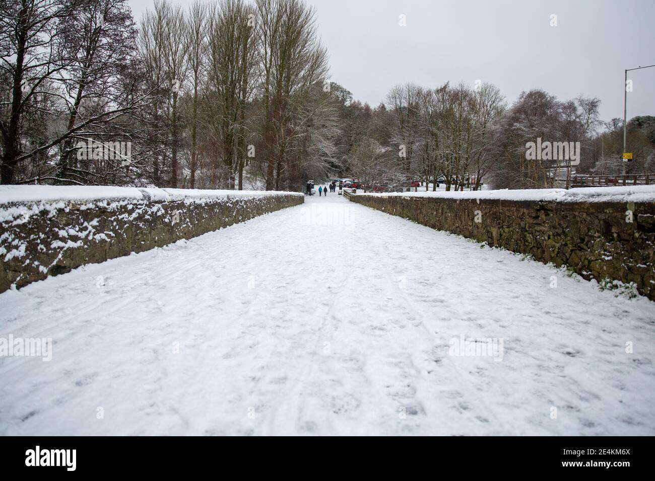 Belfast, UK. 24th Jan, 2021. Belfast, County Antrim, UK. January 24th ...