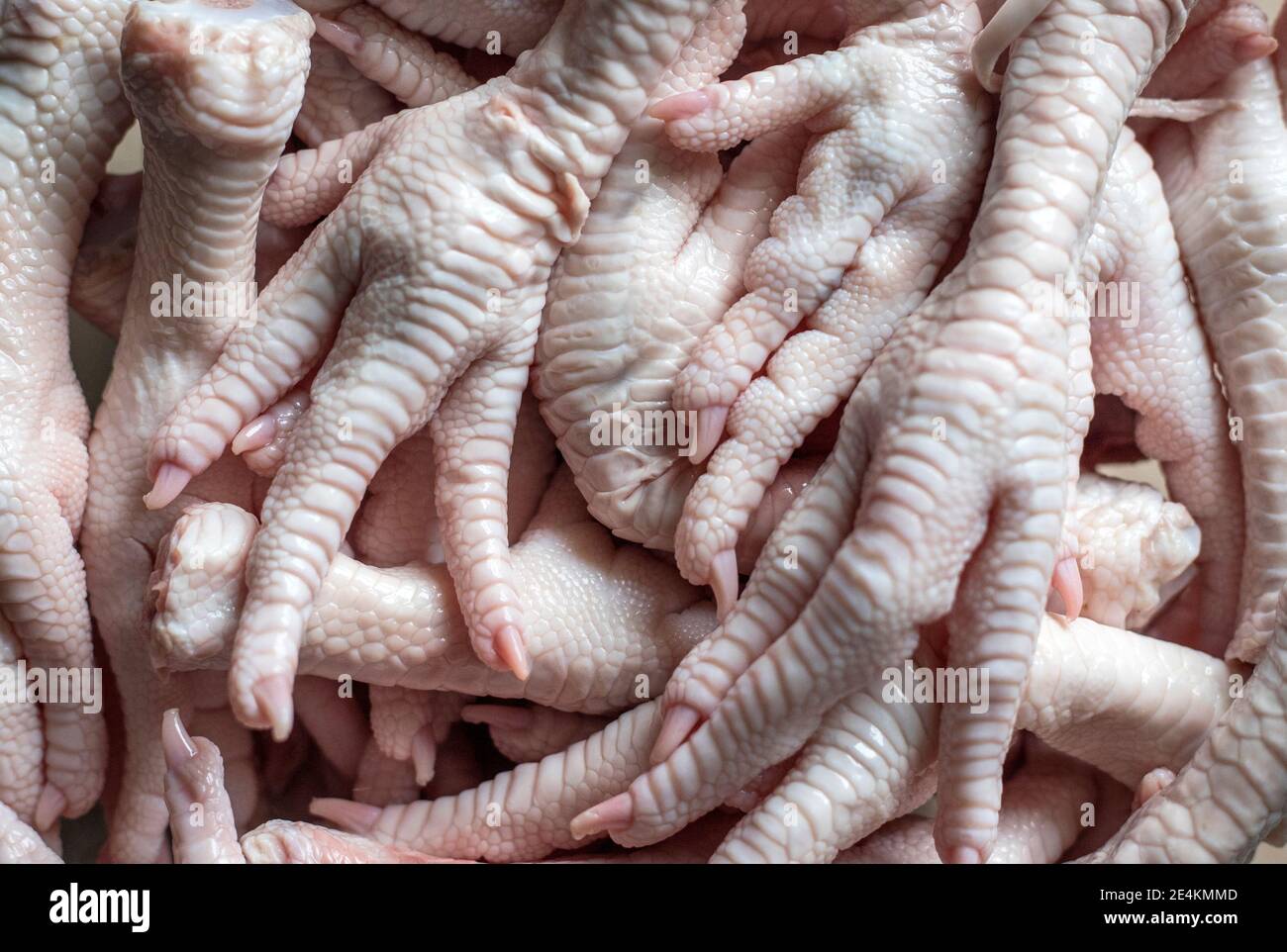 Raw ducks feet.food photo concept Stock Photo - Alamy