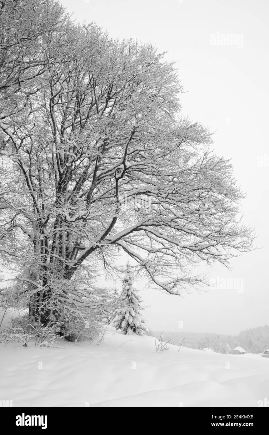 Mountain landscape under snow Black and White Stock Photos & Images - Alamy
