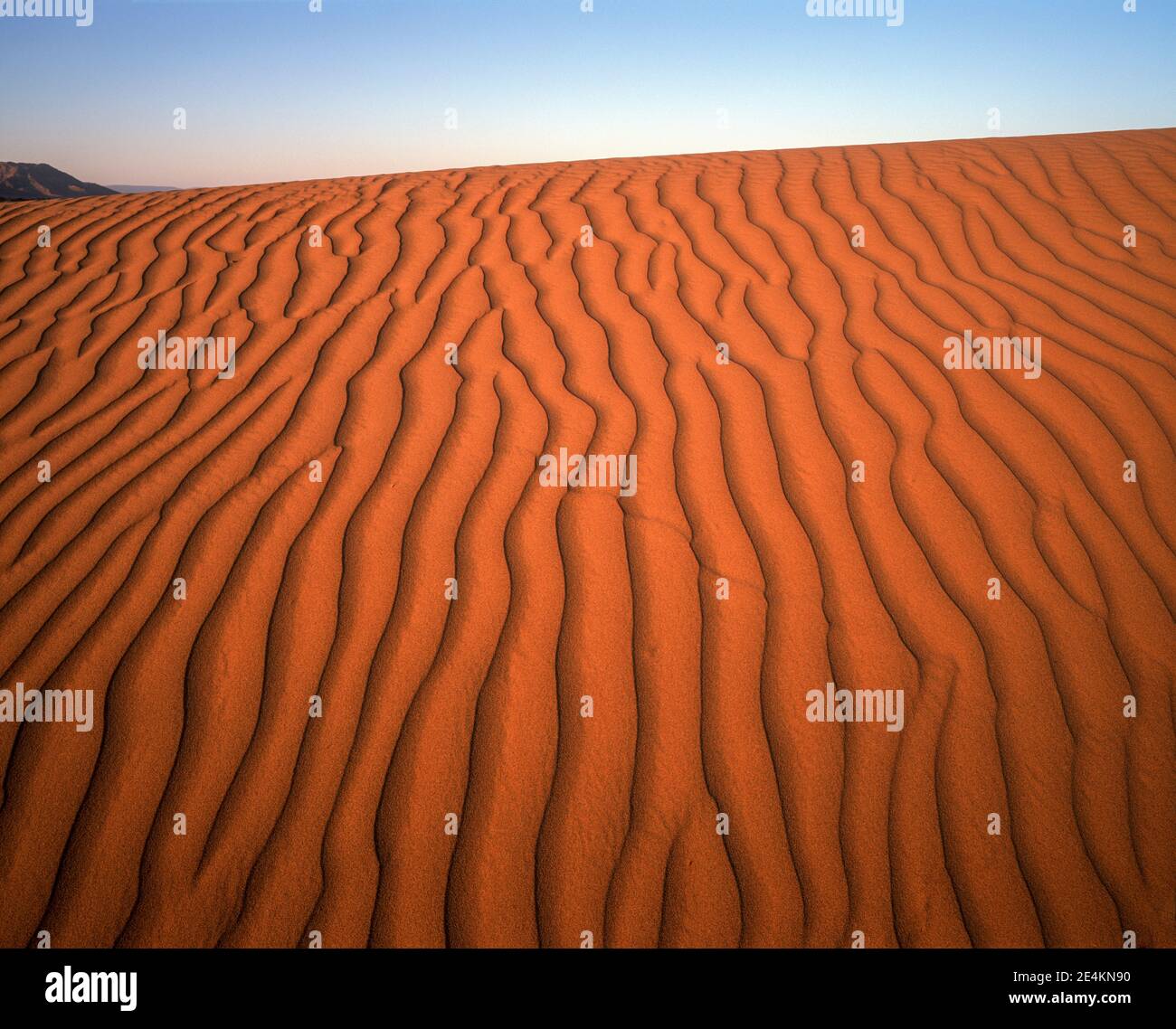 Wave patterns on a sand dune in the Sahara desert in Morocco Stock ...