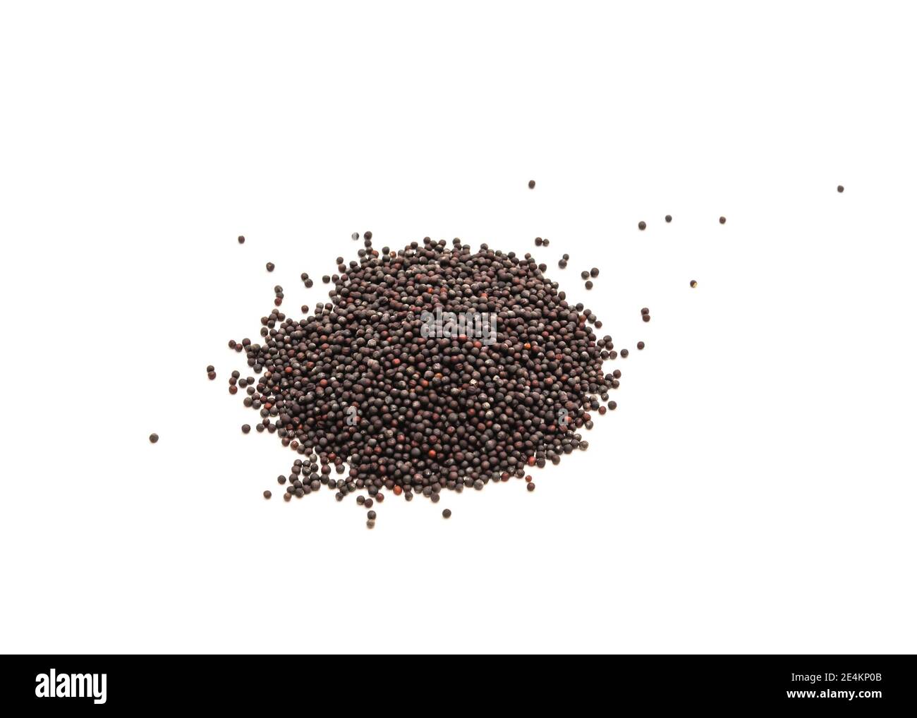 Group of Bok Choy seeds isolated on white background. Homegrown and ...