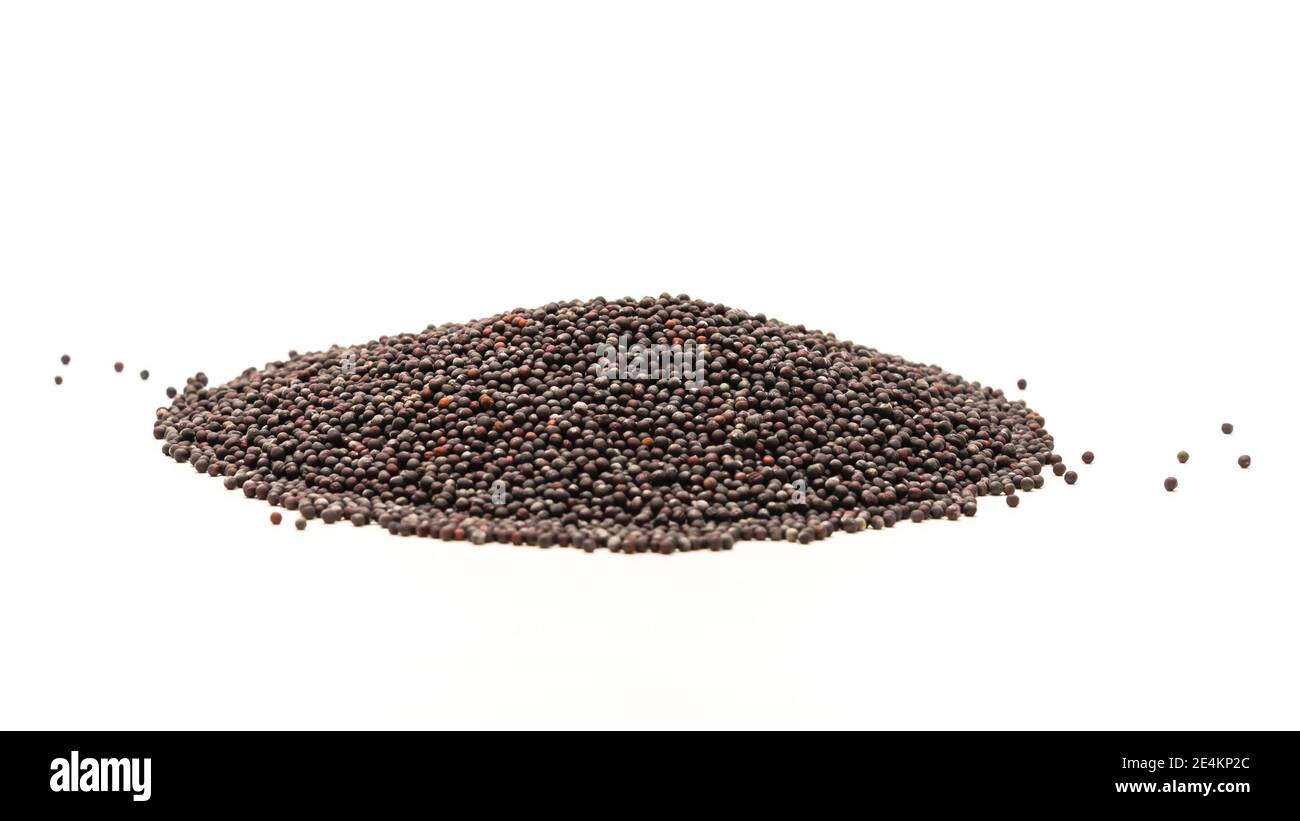 A handful mound of Bok Choy seeds isolated on white background ...