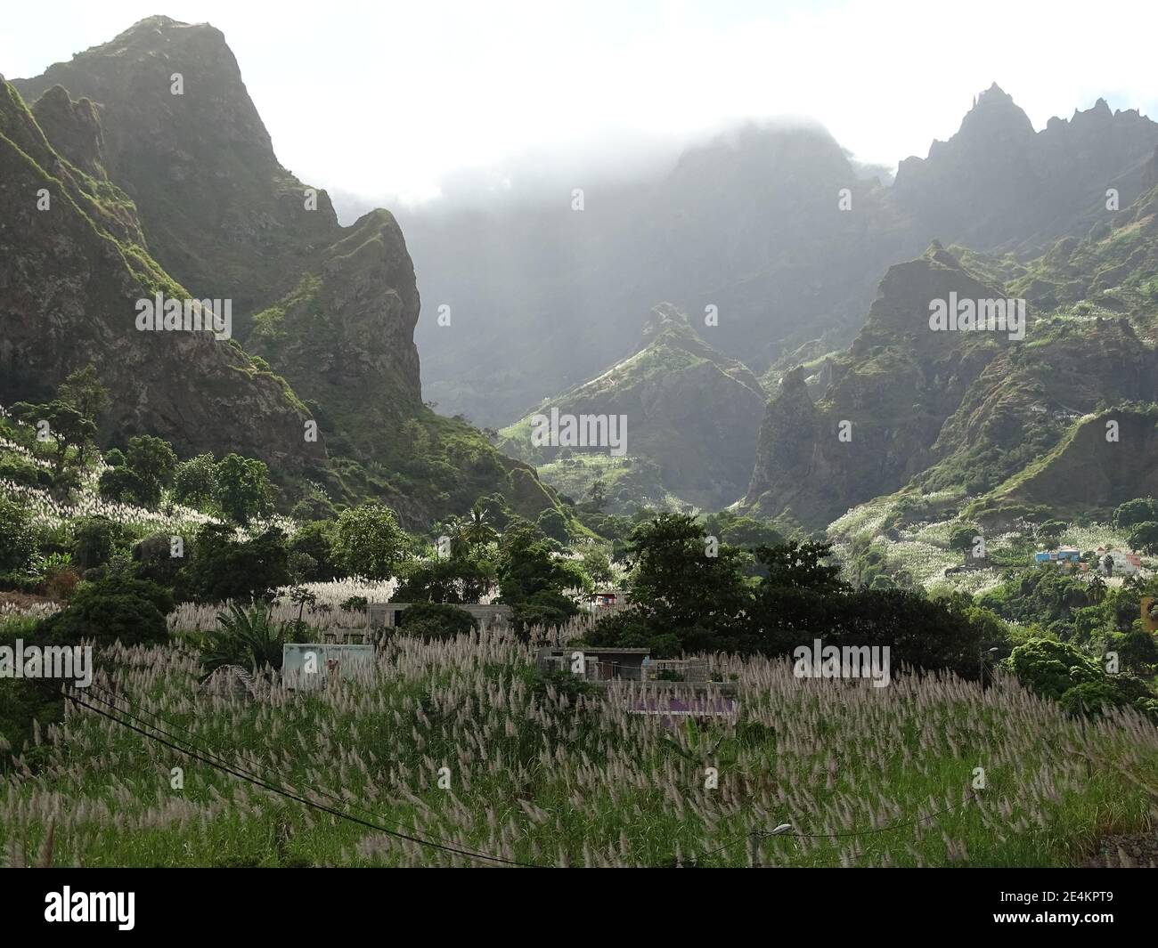 Green island cape verde hi-res stock photography and images - Alamy