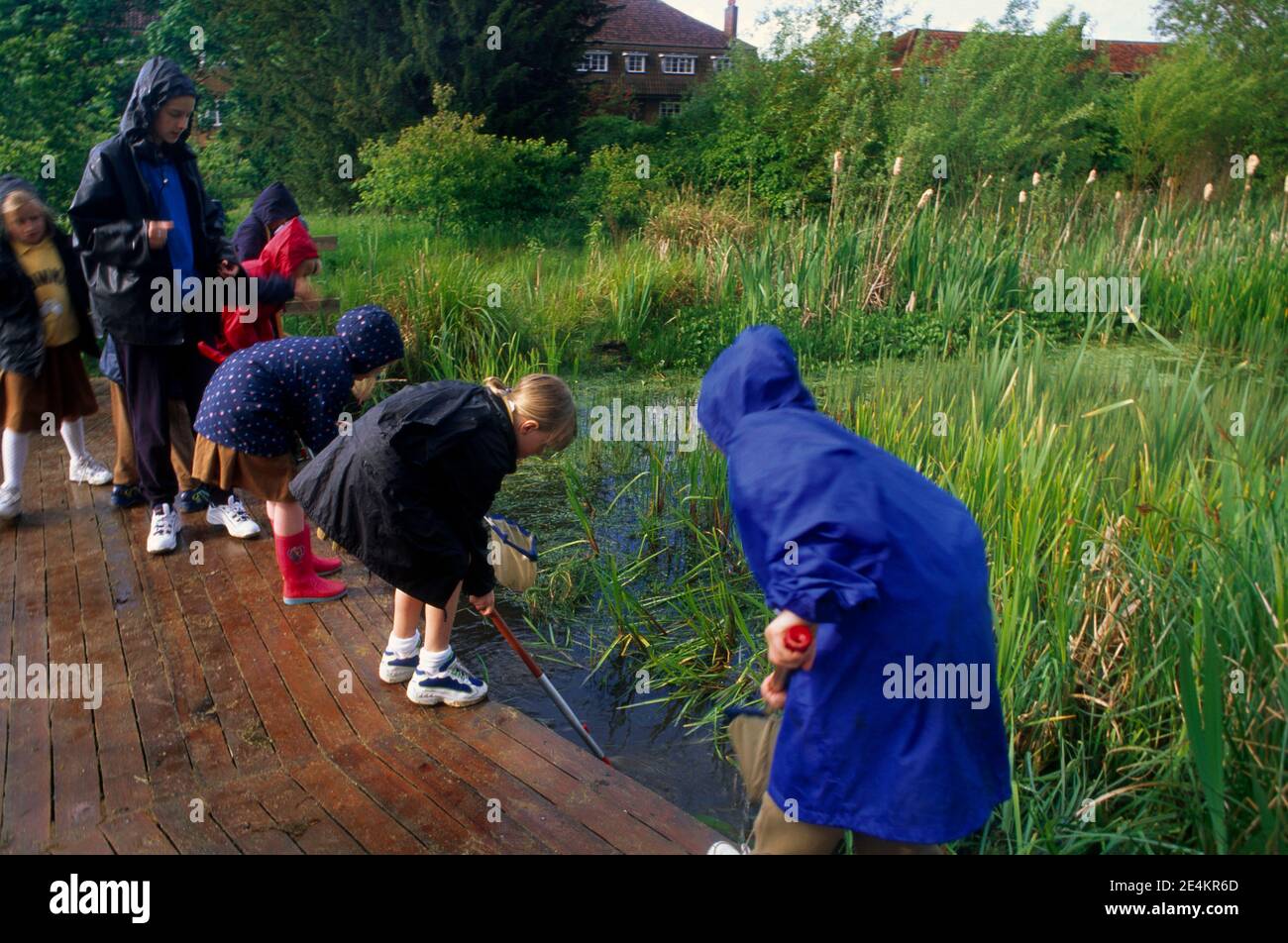 Carshalton Surrey England School Children Pond Dipping Stock Photo - Alamy