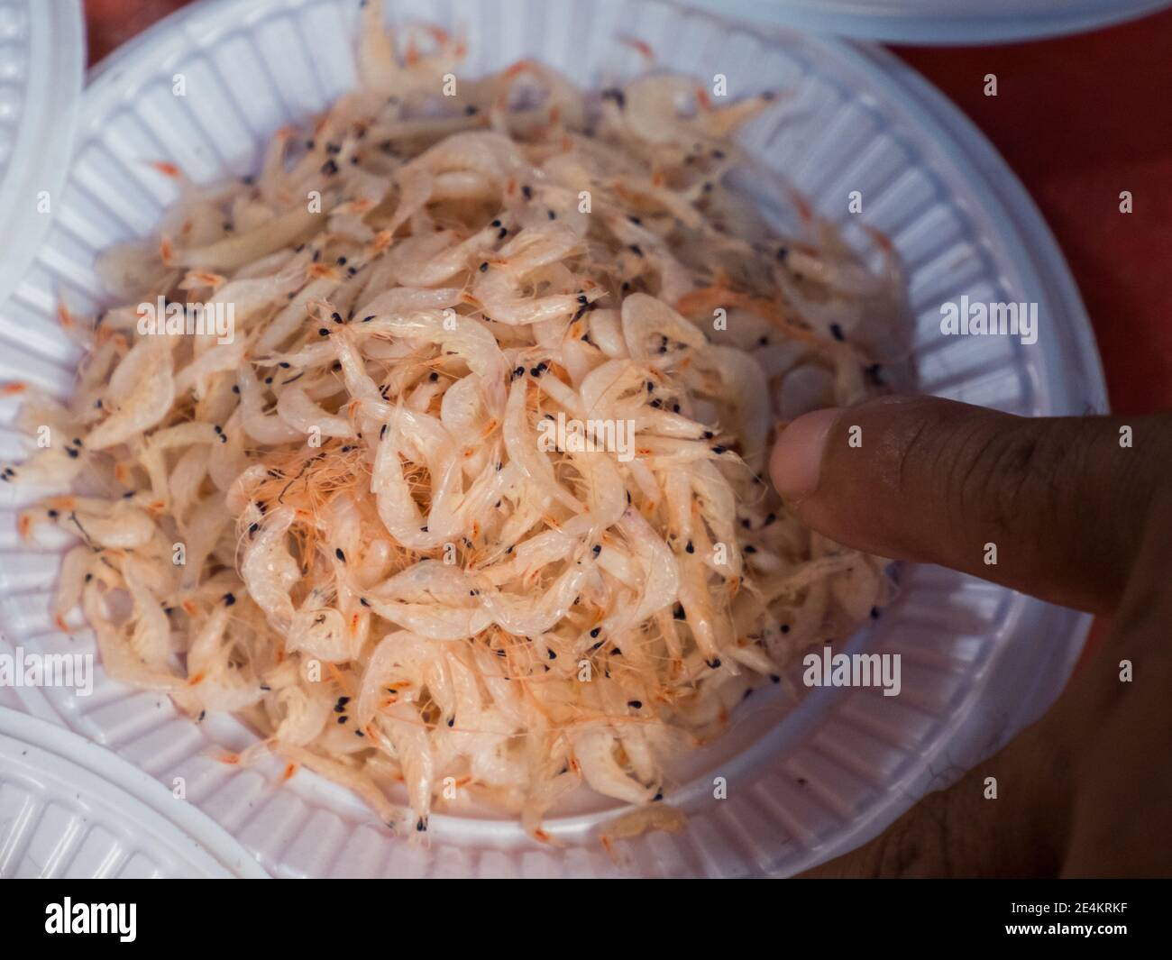 Very small shrimps (and the finger to show the size of the shrimp) from ...