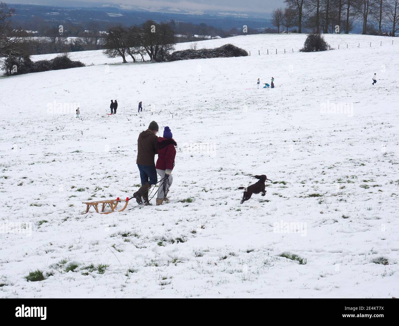Forest Hill, Oxfordshire, UK. 24th Jan 2021. Enjoying the first ...