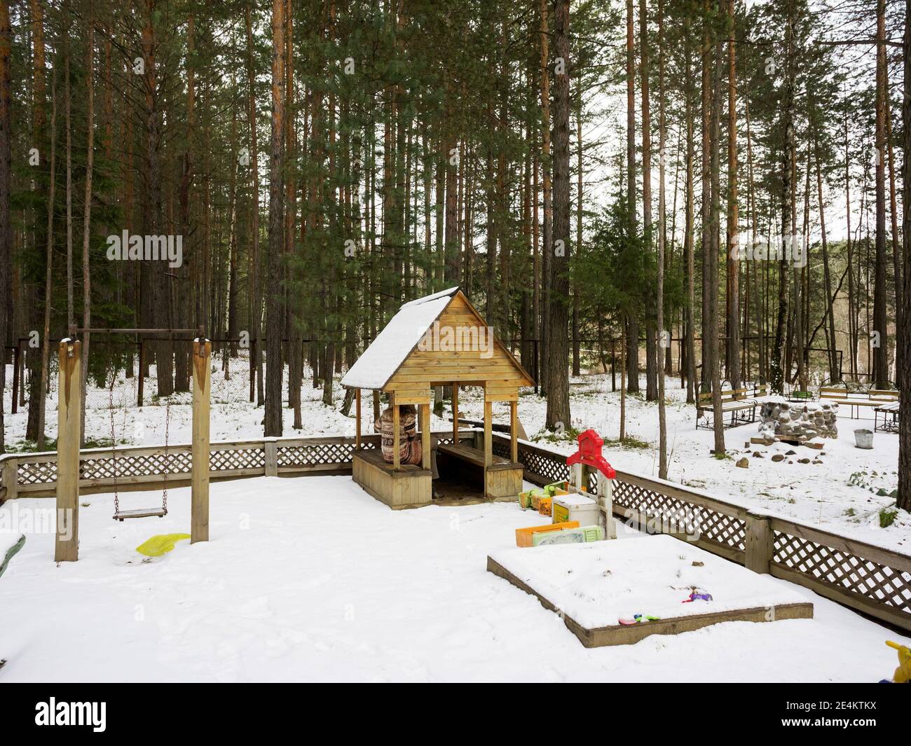 Children with small pine tree hi-res stock photography and images - Alamy