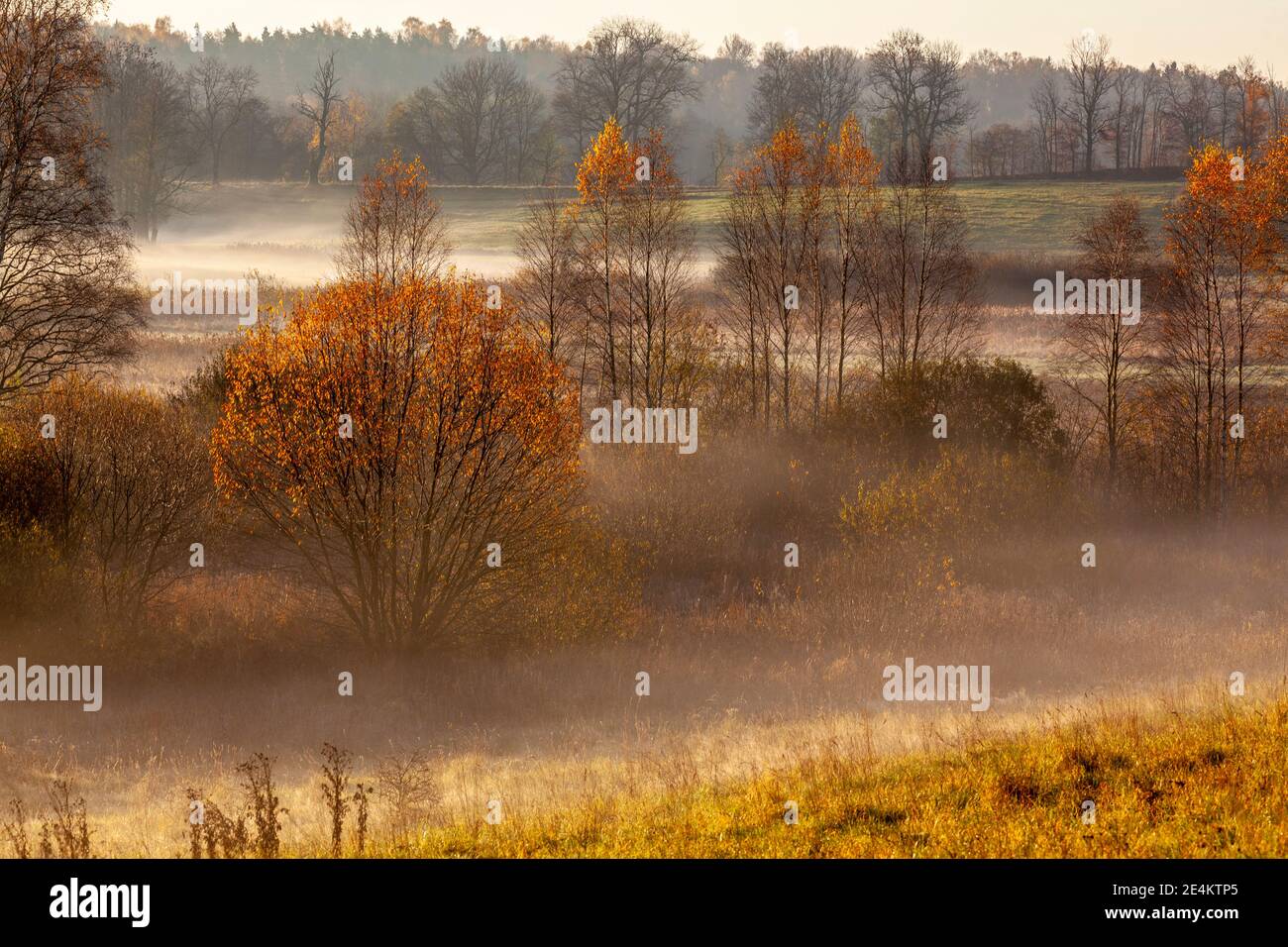 Warmia masuria quiet rest hi-res stock photography and images - Alamy