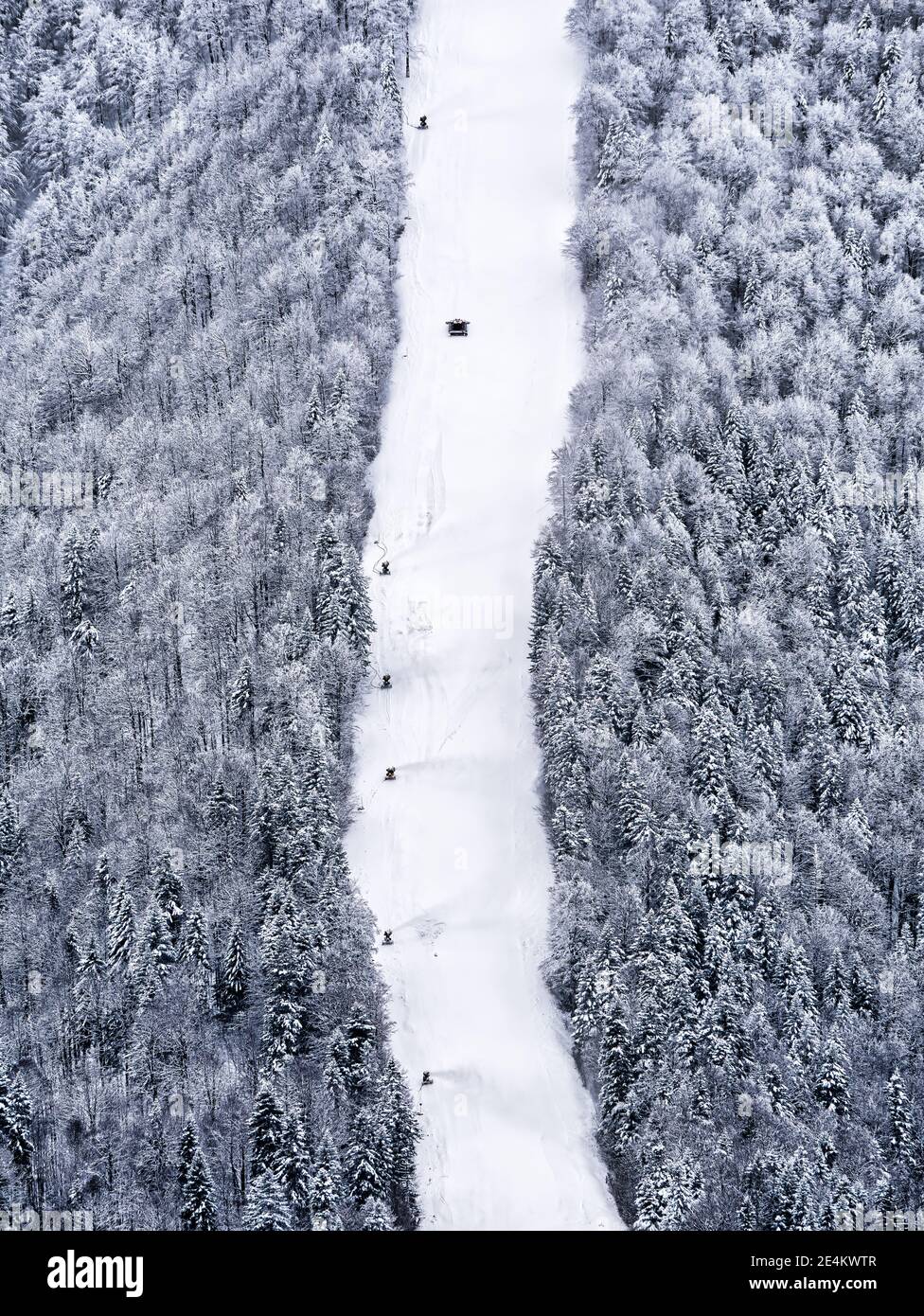 Aerial view with Clabucet ski slope surrounded by pine trees covered in ...
