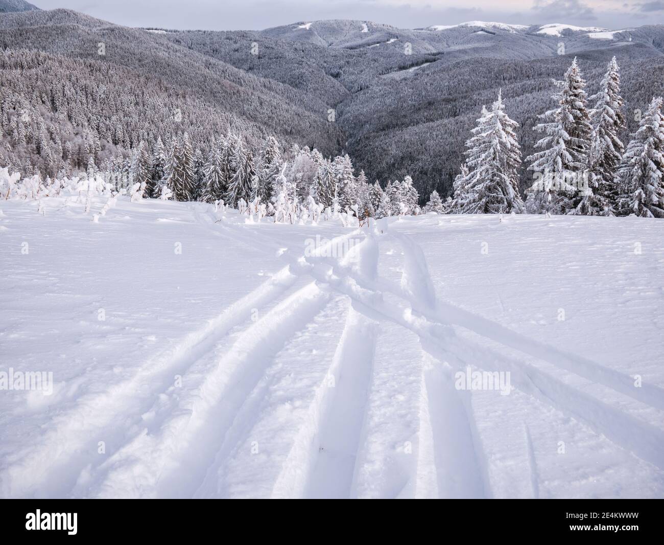 Smooth trace hi-res stock photography and images - Alamy
