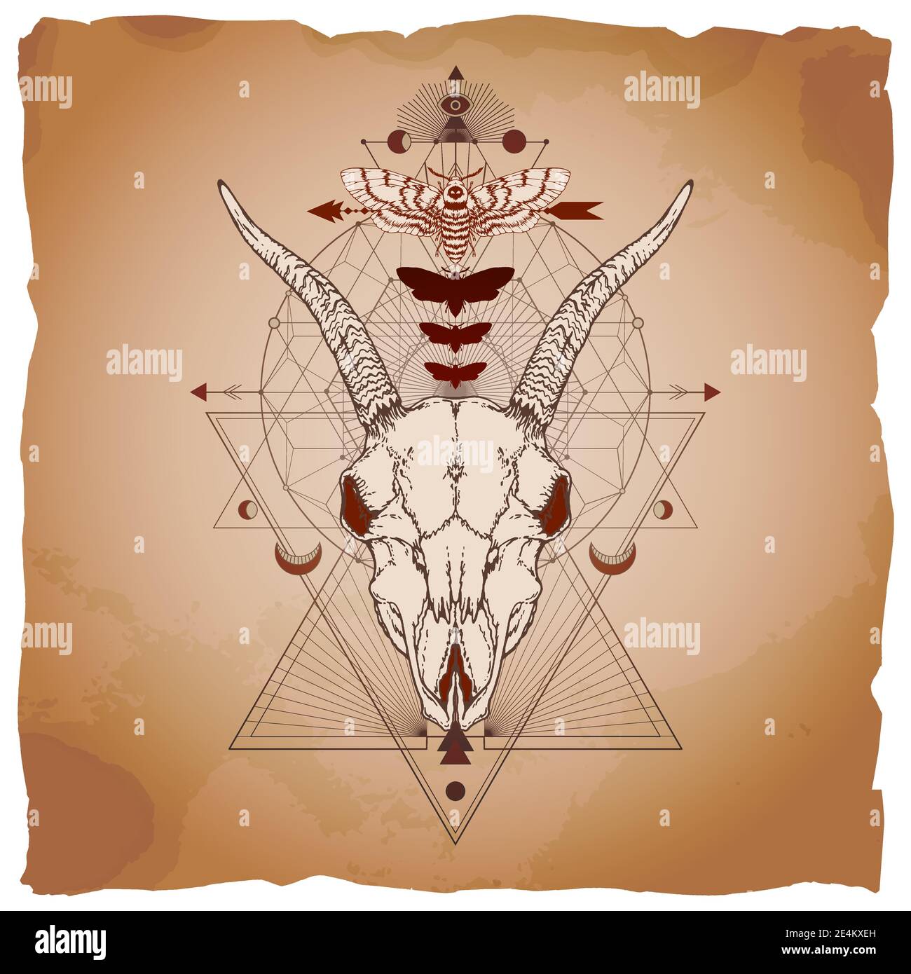 Vector illustration with hand drawn goat skull, dead head moth and ...