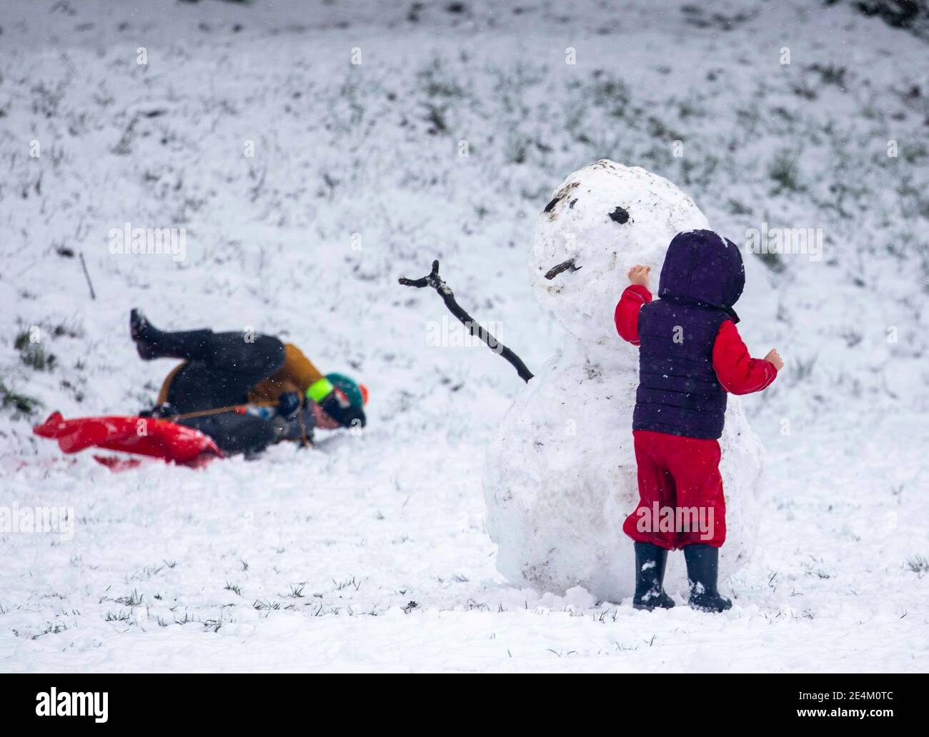 Pic shows; falling off a sled Dozens of snowmen were built by families ...