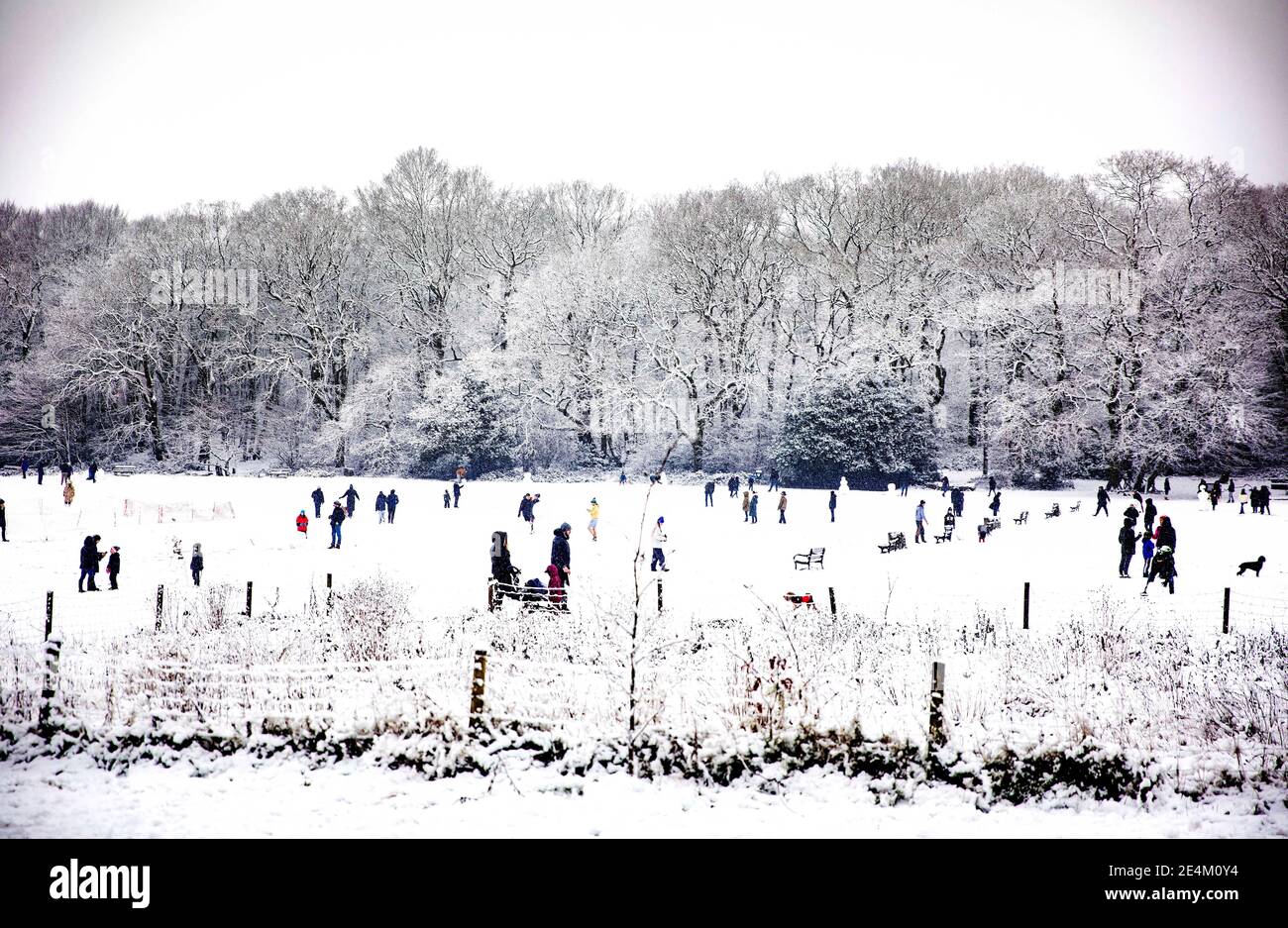 Pic shows; Dozens of snowmen were built by families in Highgate wood ...