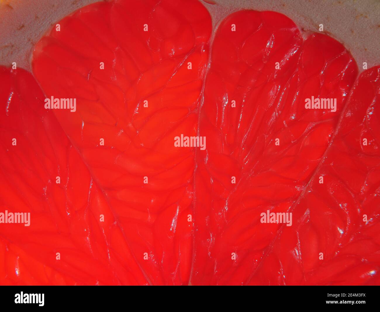 A close-up of grapefruit. Black background. Exotic fruit Stock Photo ...