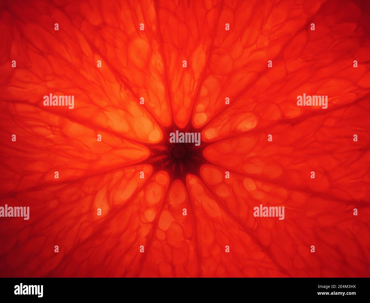 Juicy grapefruit pulp close-up. Tropical sweet fruit Stock Photo - Alamy