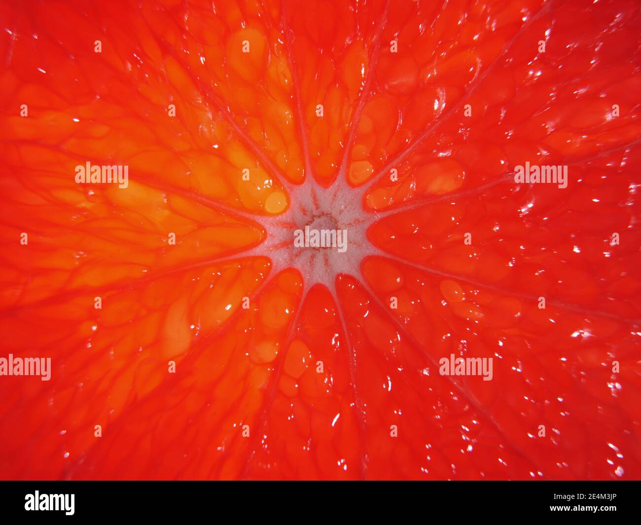The red pulp of the grapefruit is close-up Stock Photo - Alamy