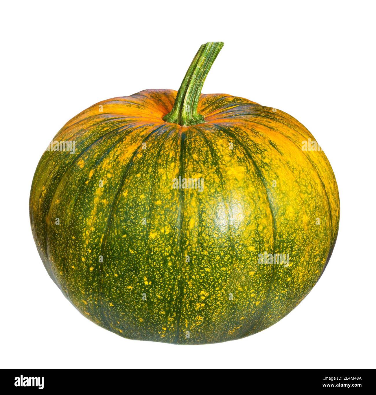 Marrow Squash And Pumpkin High Resolution Stock Photography and Images ...