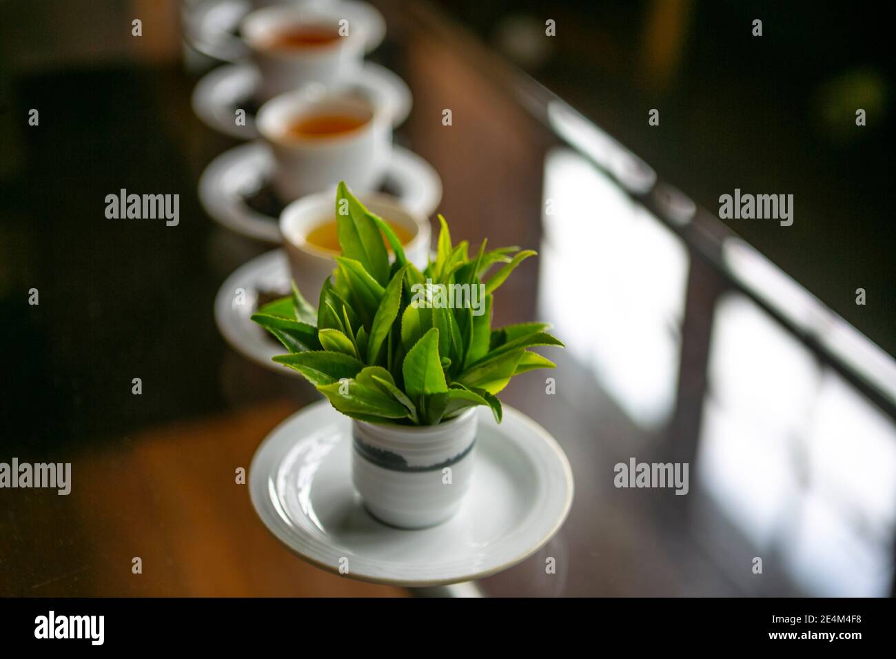 Ceylon sri lanka tea service hi-res stock photography and images - Alamy