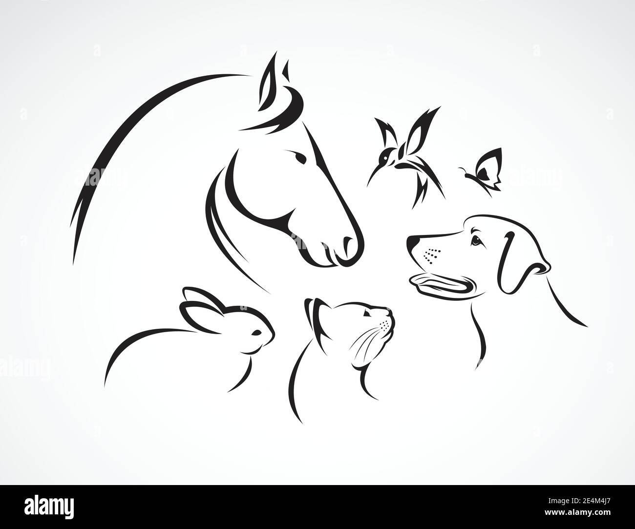 Vector group of pets - Horse, dog, cat, bird, butterfly, rabbit ...