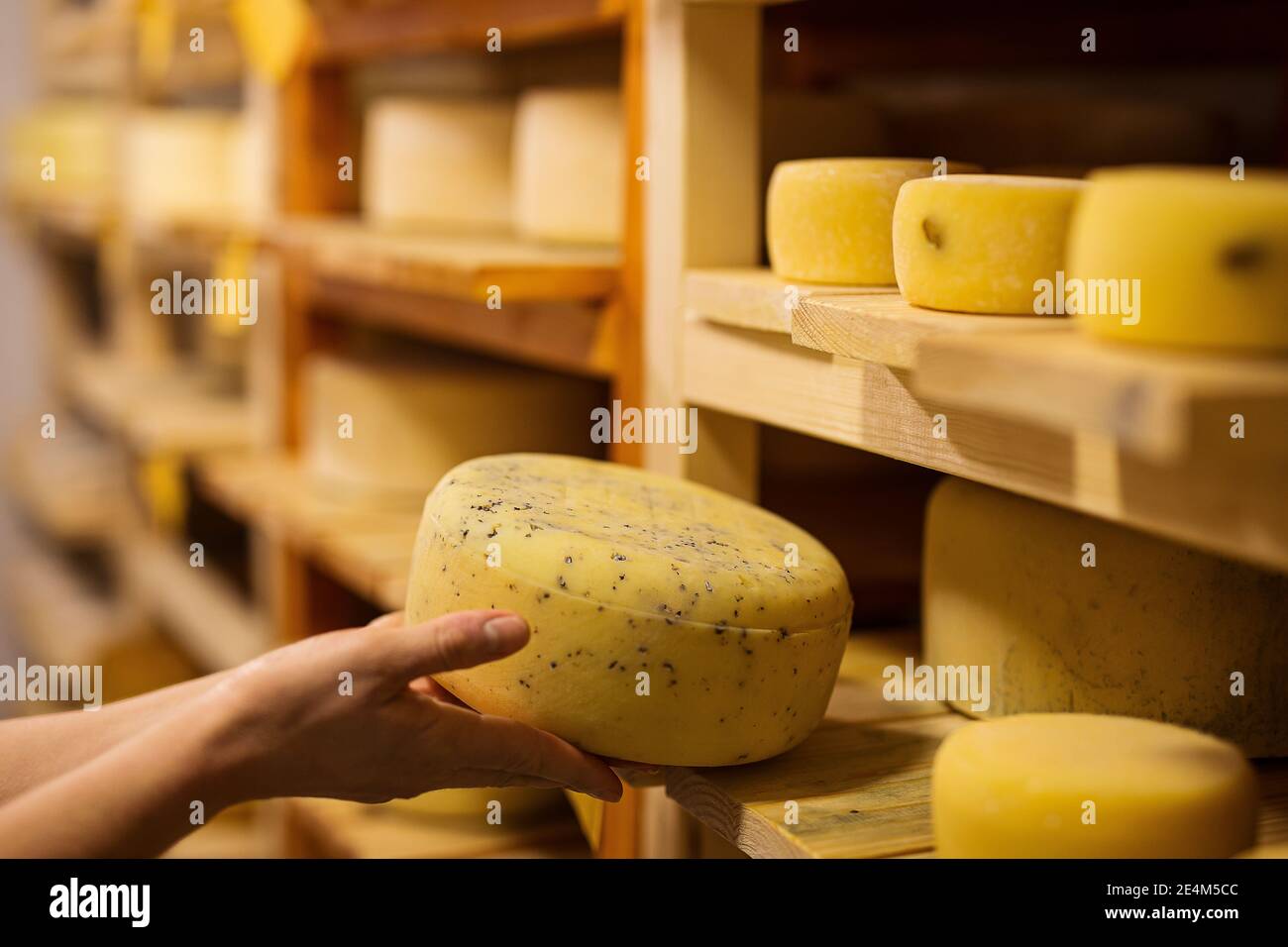 equipment of a private cheese factory and stages of preparation and ...