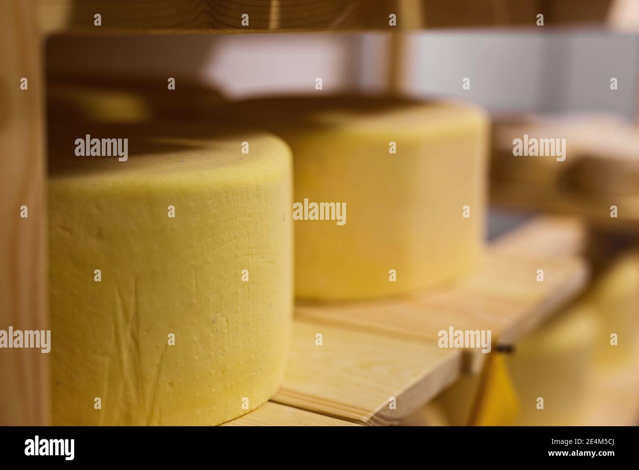 equipment of a private cheese factory and stages of preparation and ...