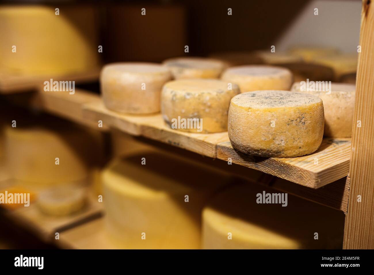 equipment of a private cheese factory and stages of preparation and ...