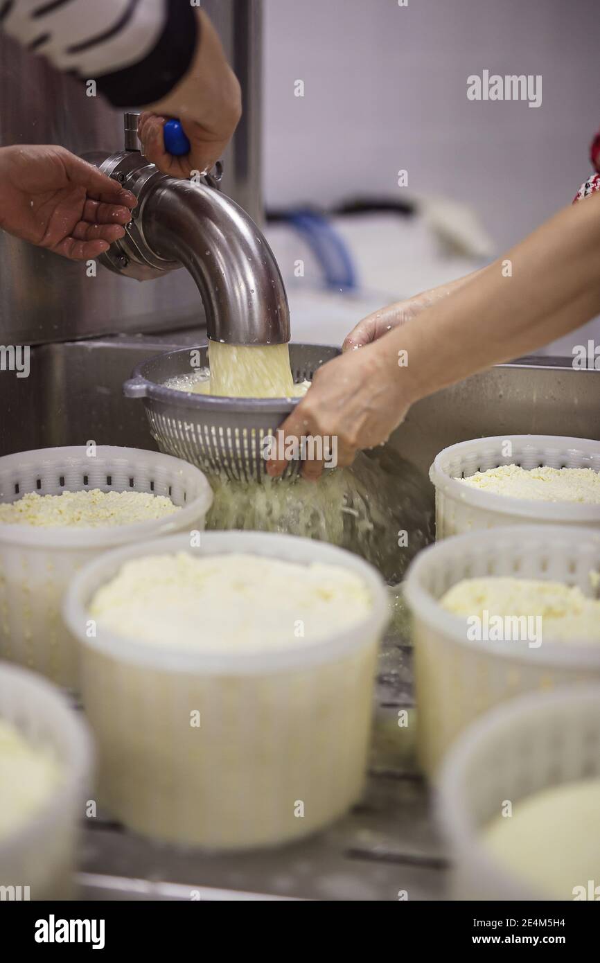 equipment of a private cheese factory and stages of preparation and ...