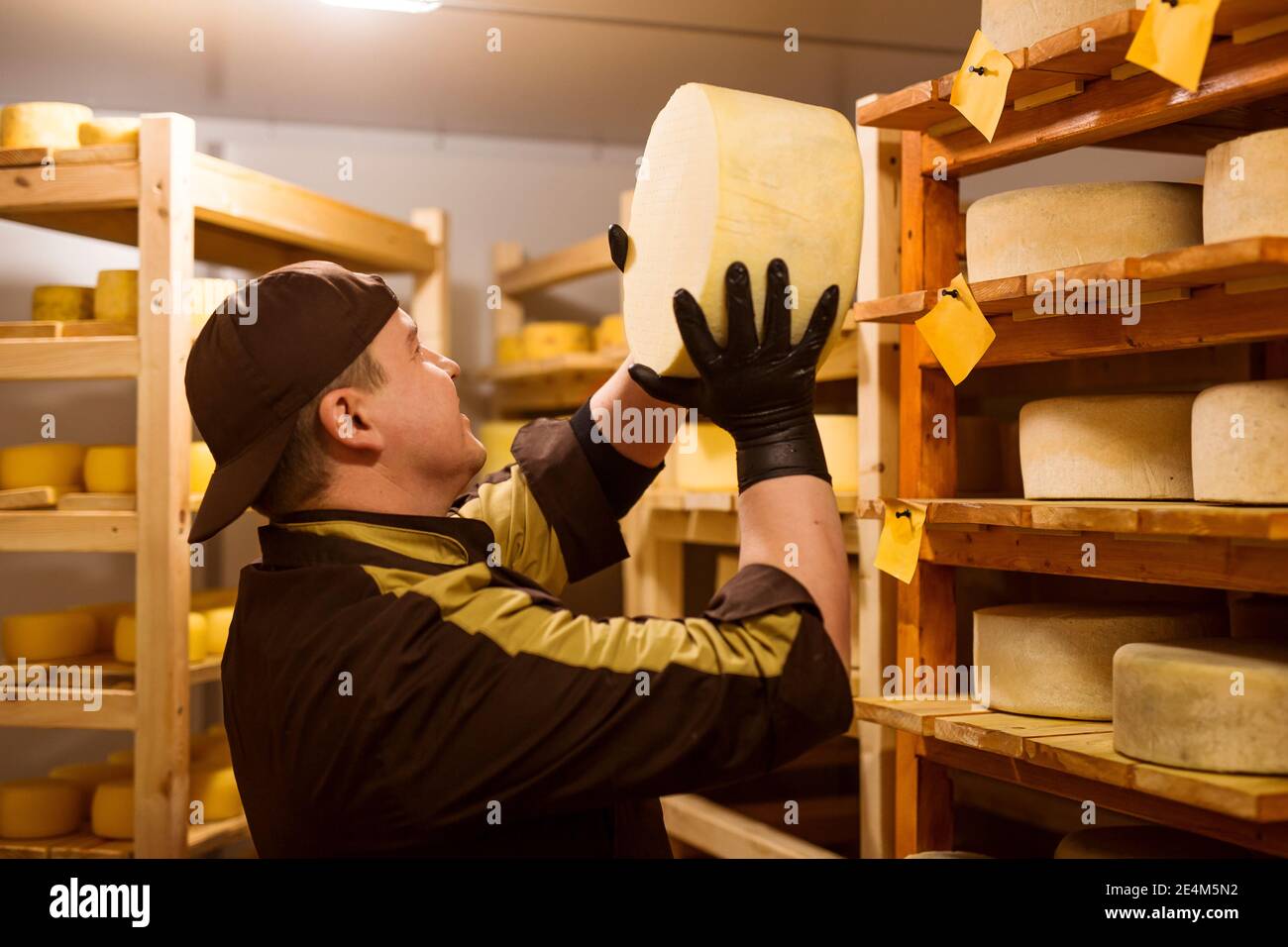 employees of a private cheese factory in the shop during the production ...