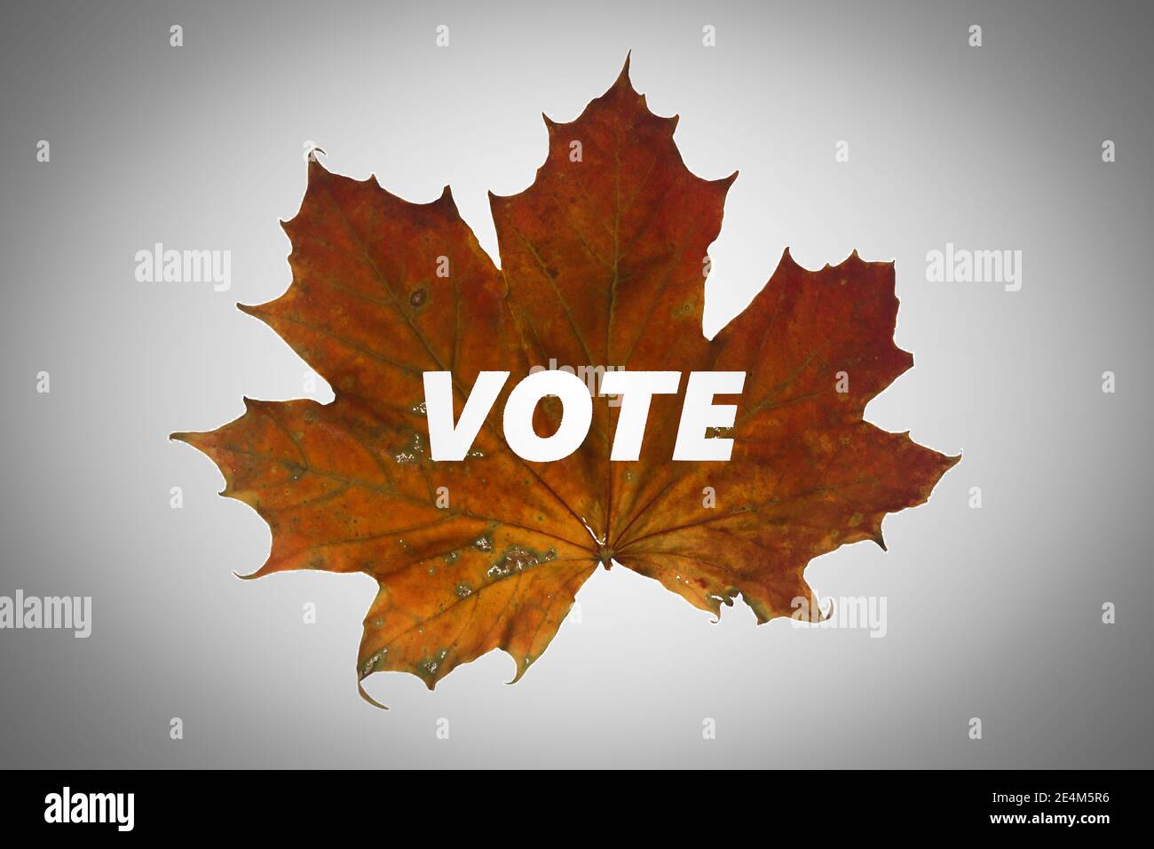 Autumn leaf in a shape vote demonstrating Environmental election ...