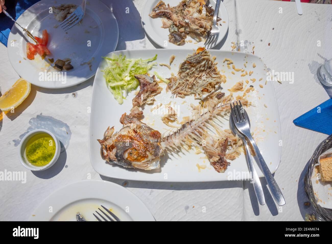 fishbone of a eaten fish known as Donkey or Borriquete (Plectorhinchus ...