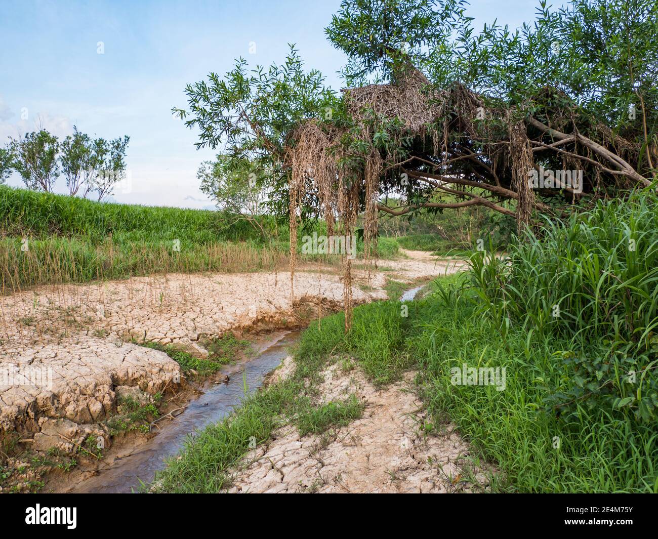 View of the Javarii river during the lack of the water. Low water ...
