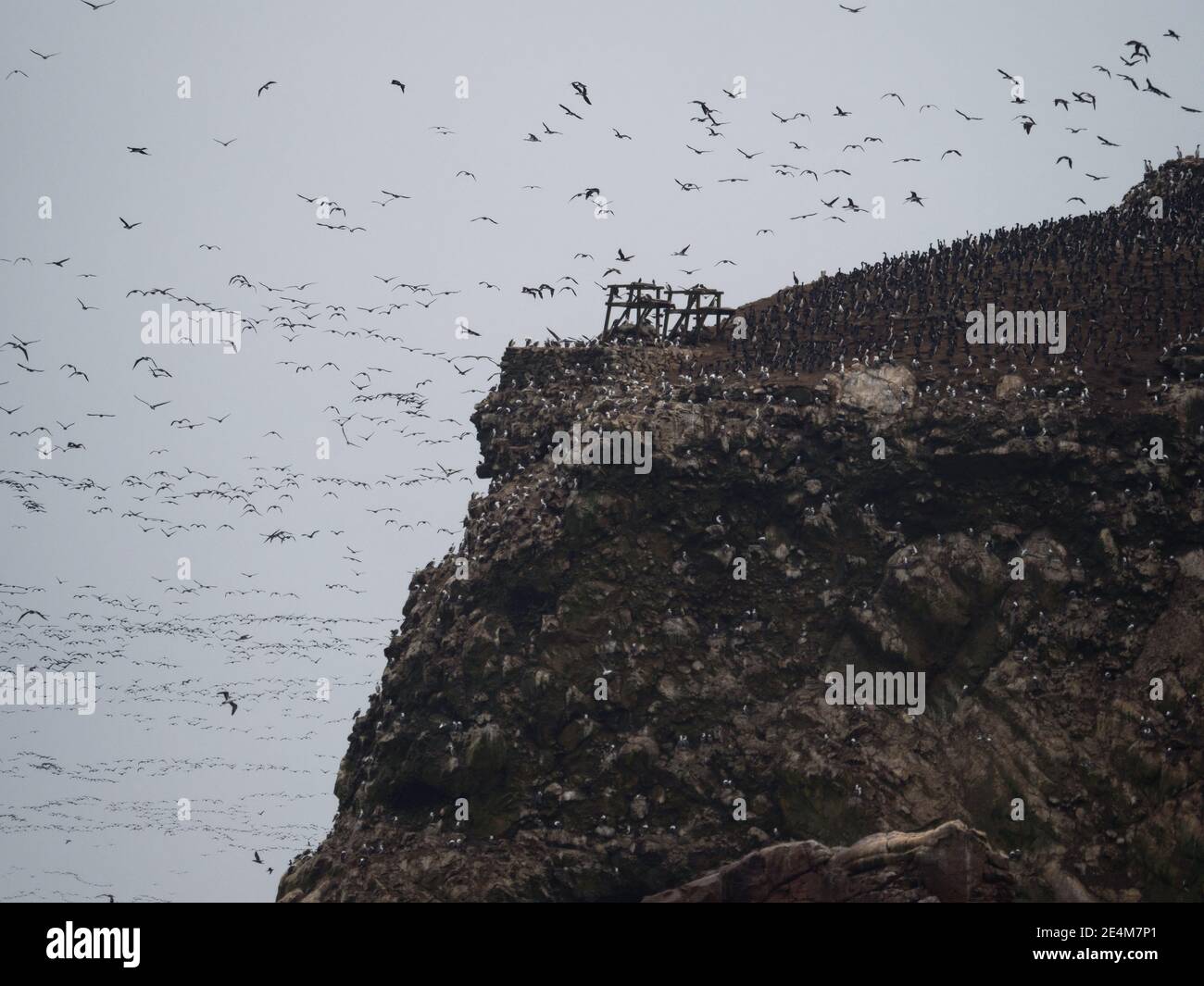 Marine panorama view of Islas Ballestas Islands pacific ocean rock ...