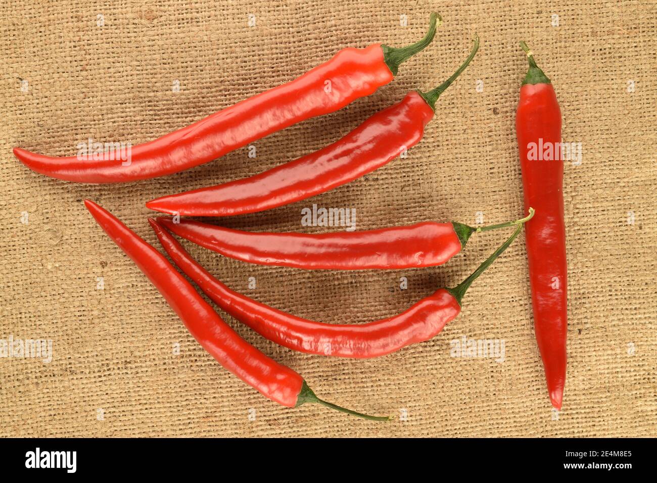 A few pods of ripe bright red fresh hot pepper on jute fabric Stock ...