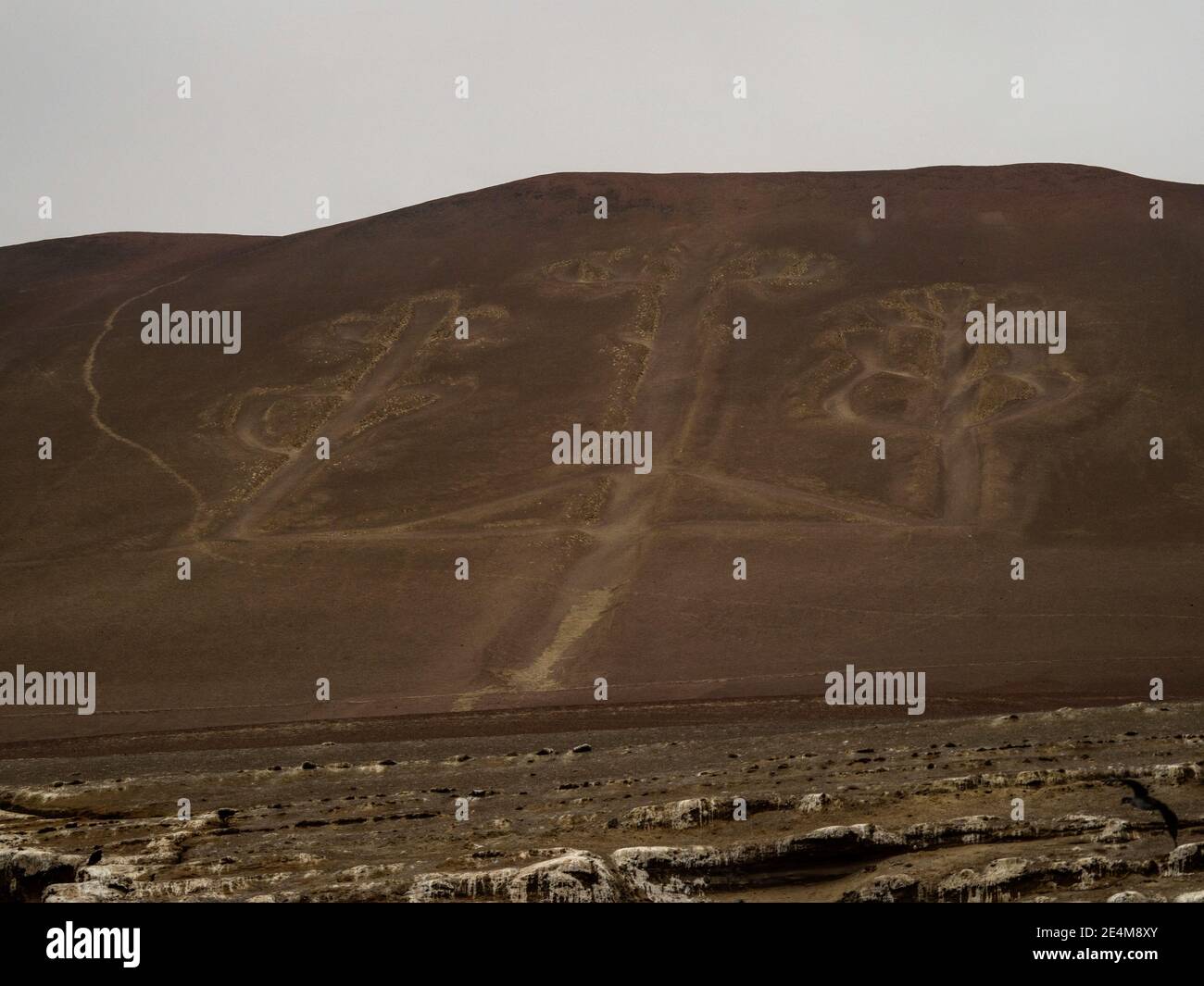 Closeup view of prehistoric hill figure trident geoglyph El Candelabro ...