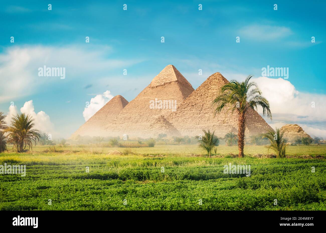 Egyptian pyramids in green field at foggy morning Stock Photo - Alamy