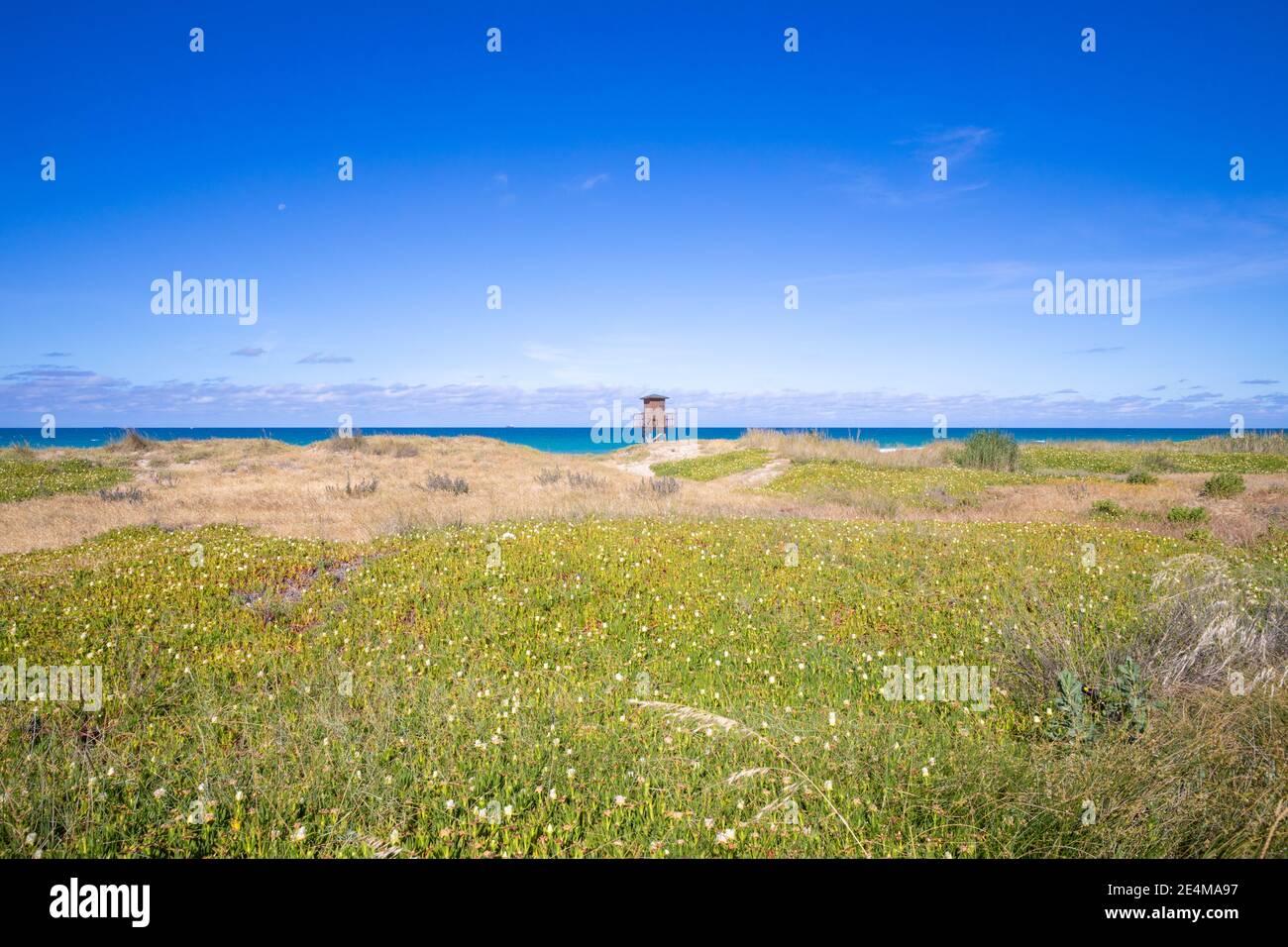 wooden watchtower for lifeguard in Palmar Beach, behind lush green ...