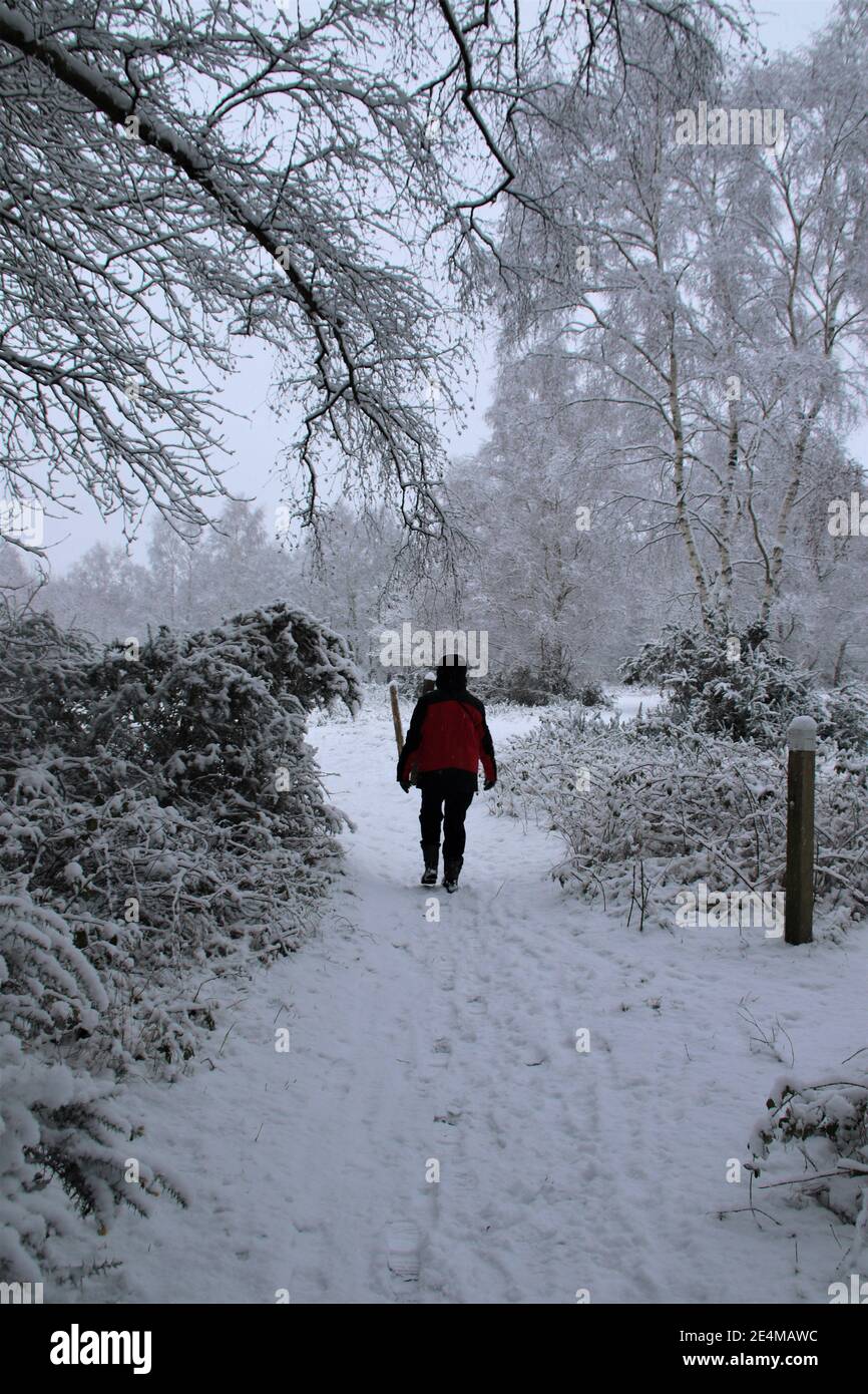 Snow blizard hi-res stock photography and images - Alamy