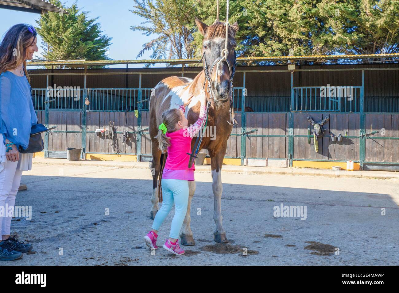 little four years old girl caressing with hands a horse next to her ...