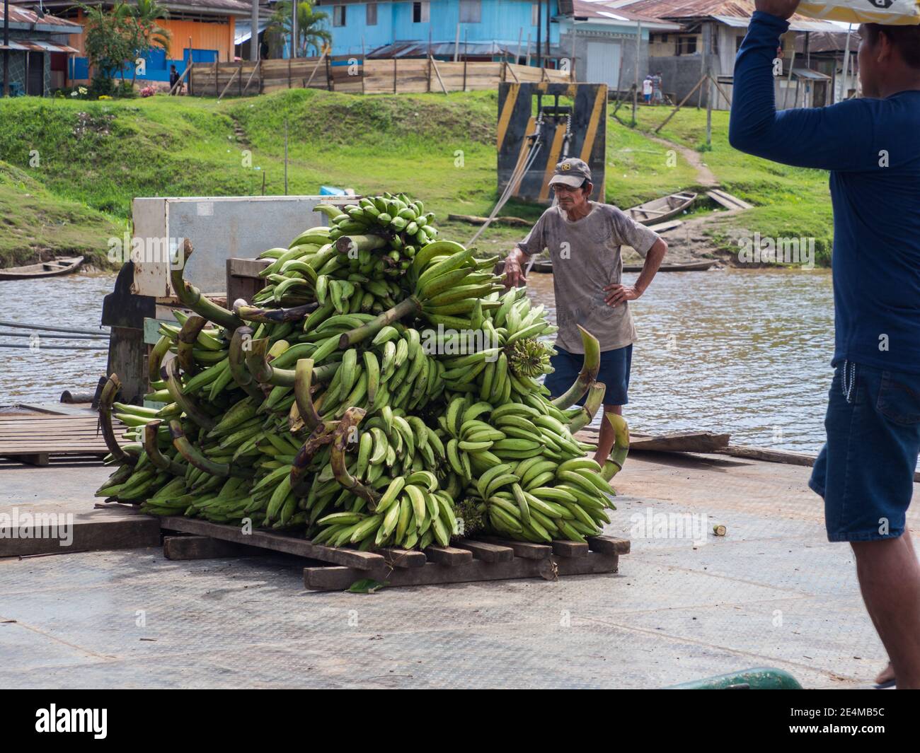 Amazon River, Peru - May 13, 2016: A lot of bananas waiting in a small ...