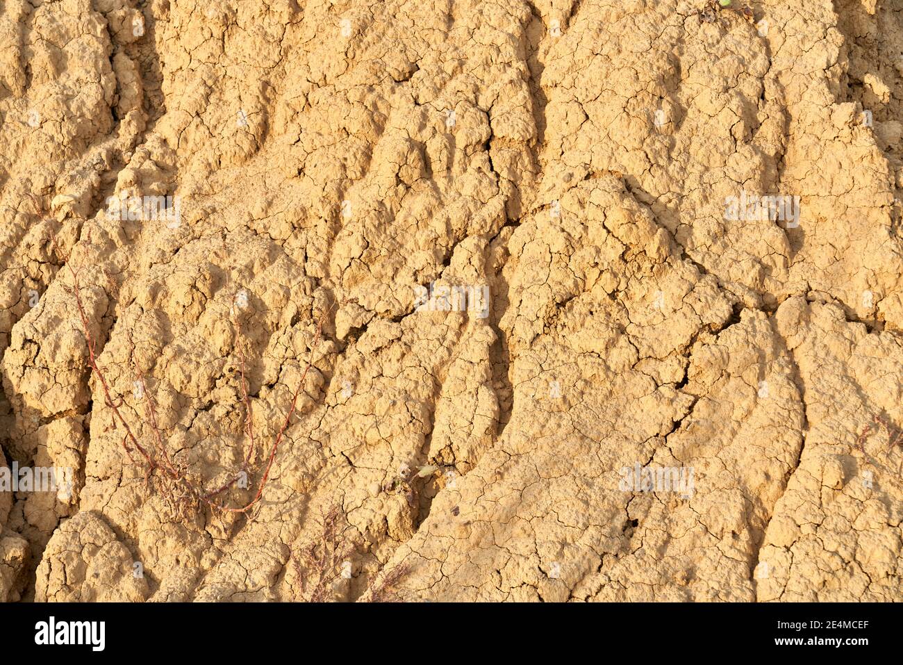 Above view of dry, natural rock or stone surface as background. Concept ...