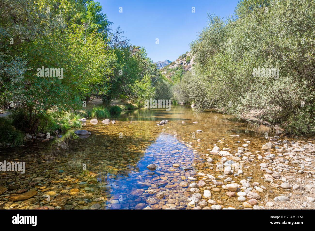 landscape of Manzanares River, with transparent water, tress, plants ...