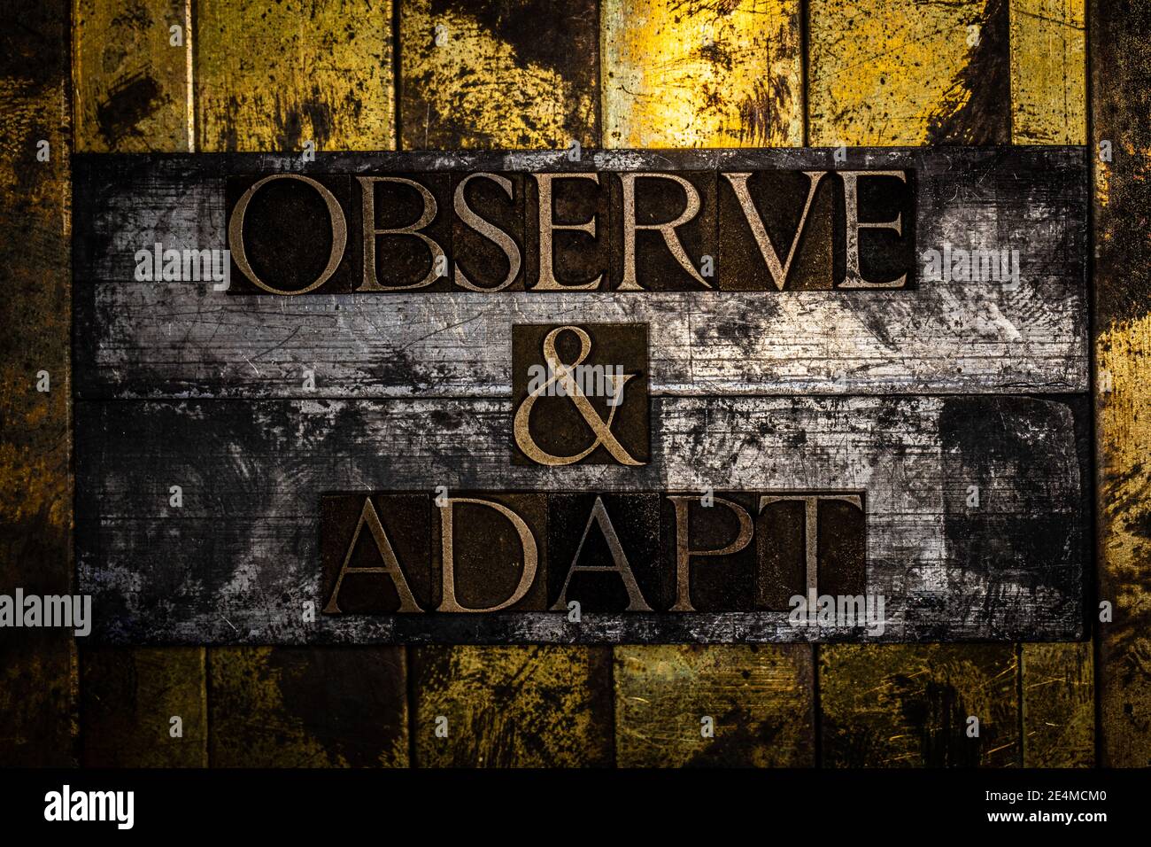 Observe & Adapt text on vintage textured silver grunge copper and gold ...