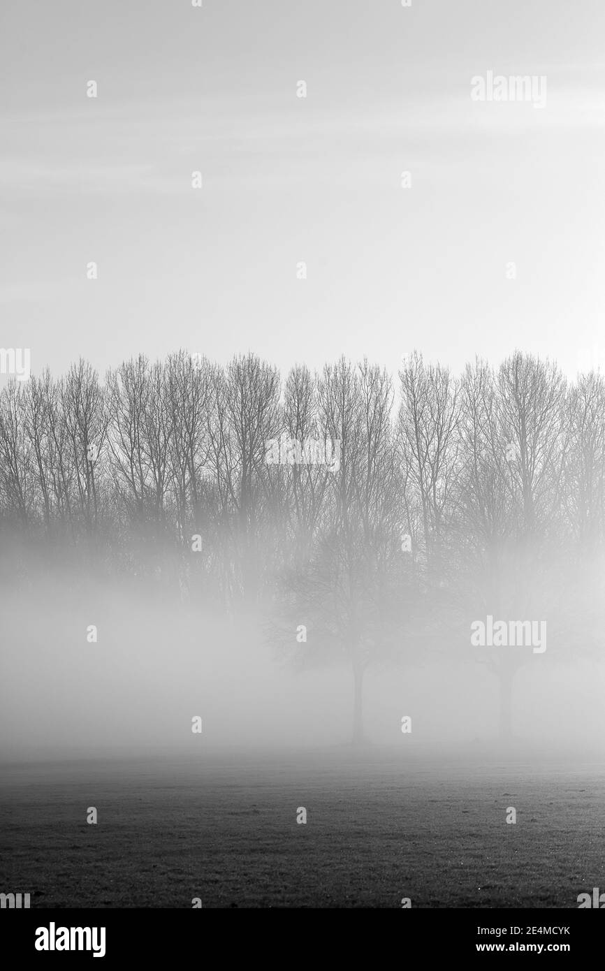 Public park in fall Black and White Stock Photos & Images - Alamy