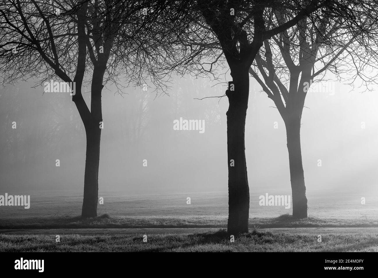 Public park in fall Black and White Stock Photos & Images - Alamy