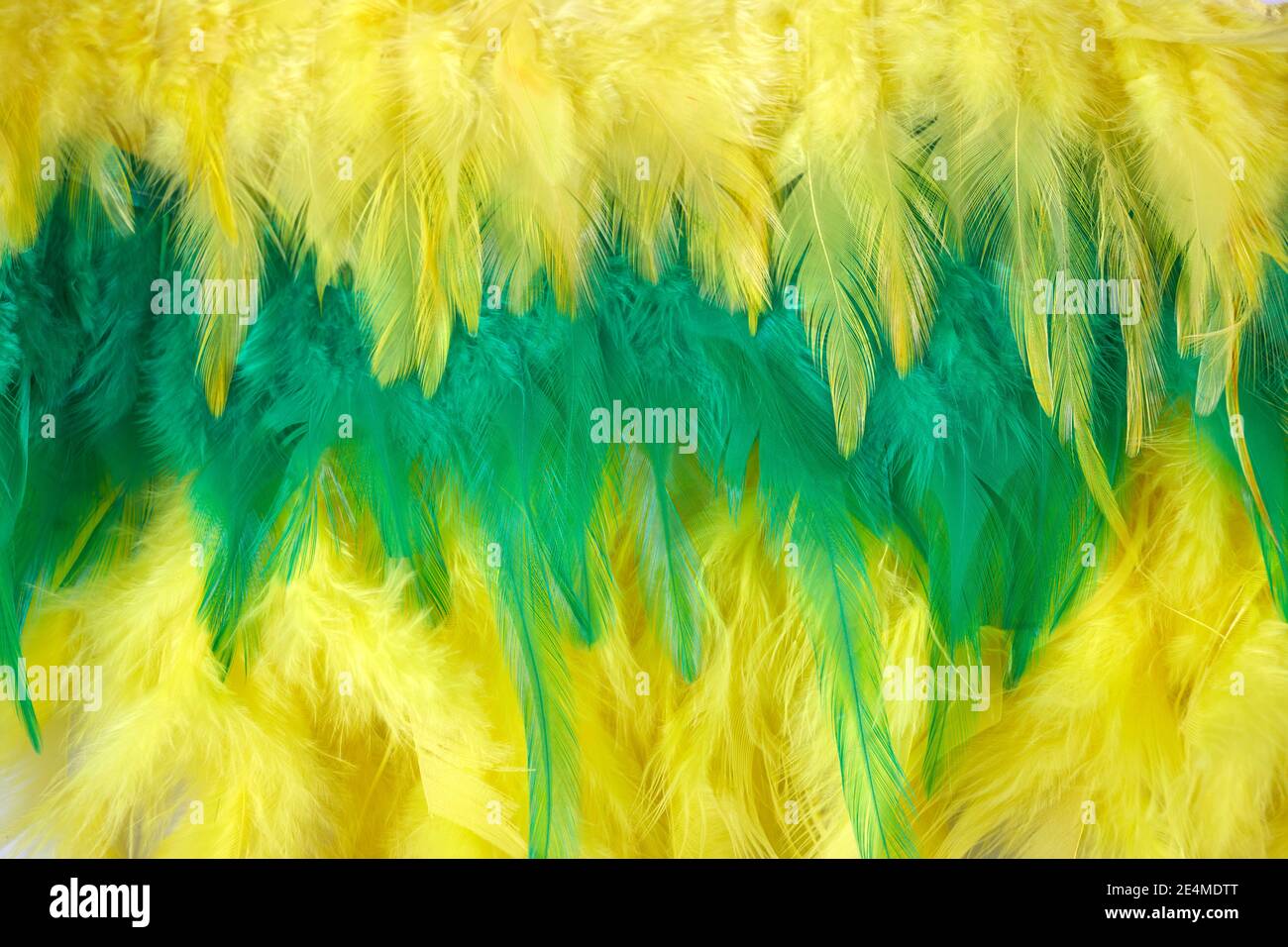 Brasil Mardi gras carnival background with multicolor feathers Stock ...
