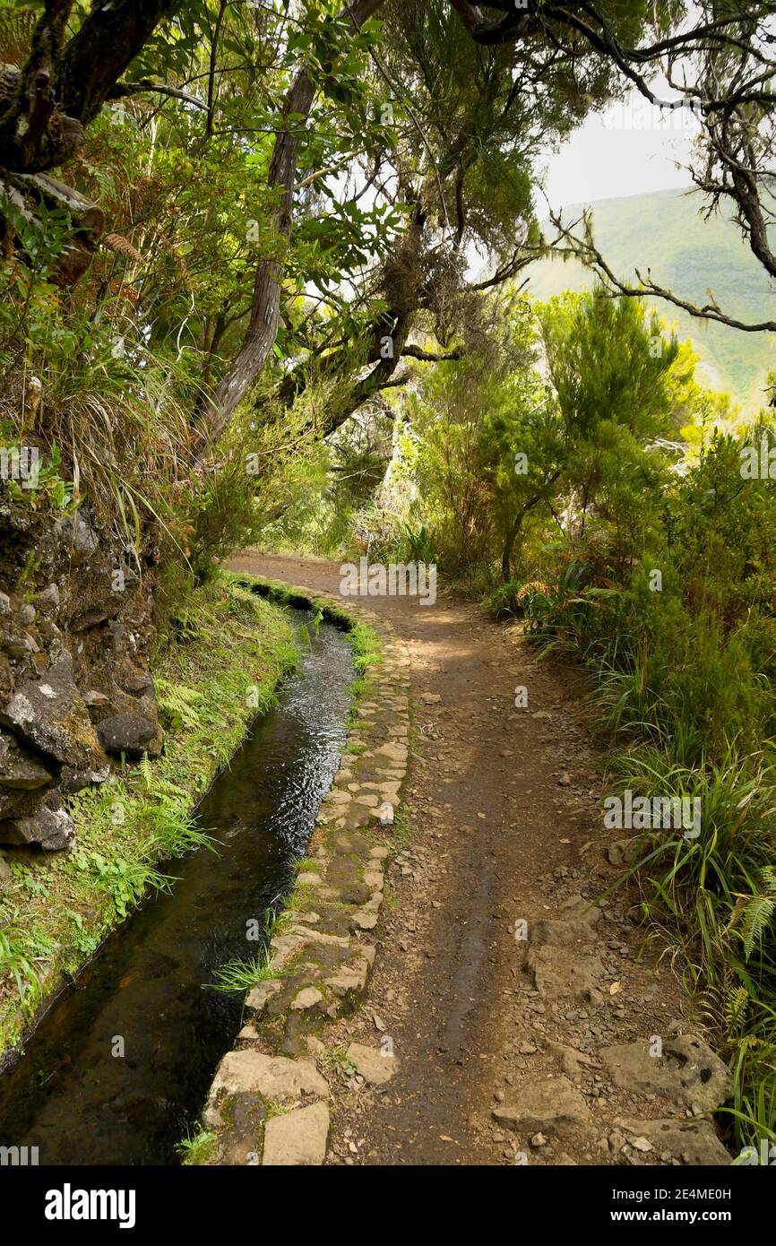 Typical levada walk in Madeira with the footpath running alongside the ...