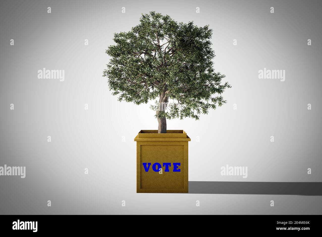 Tree in a pot in the shape voting box demonstrating Environmental ...