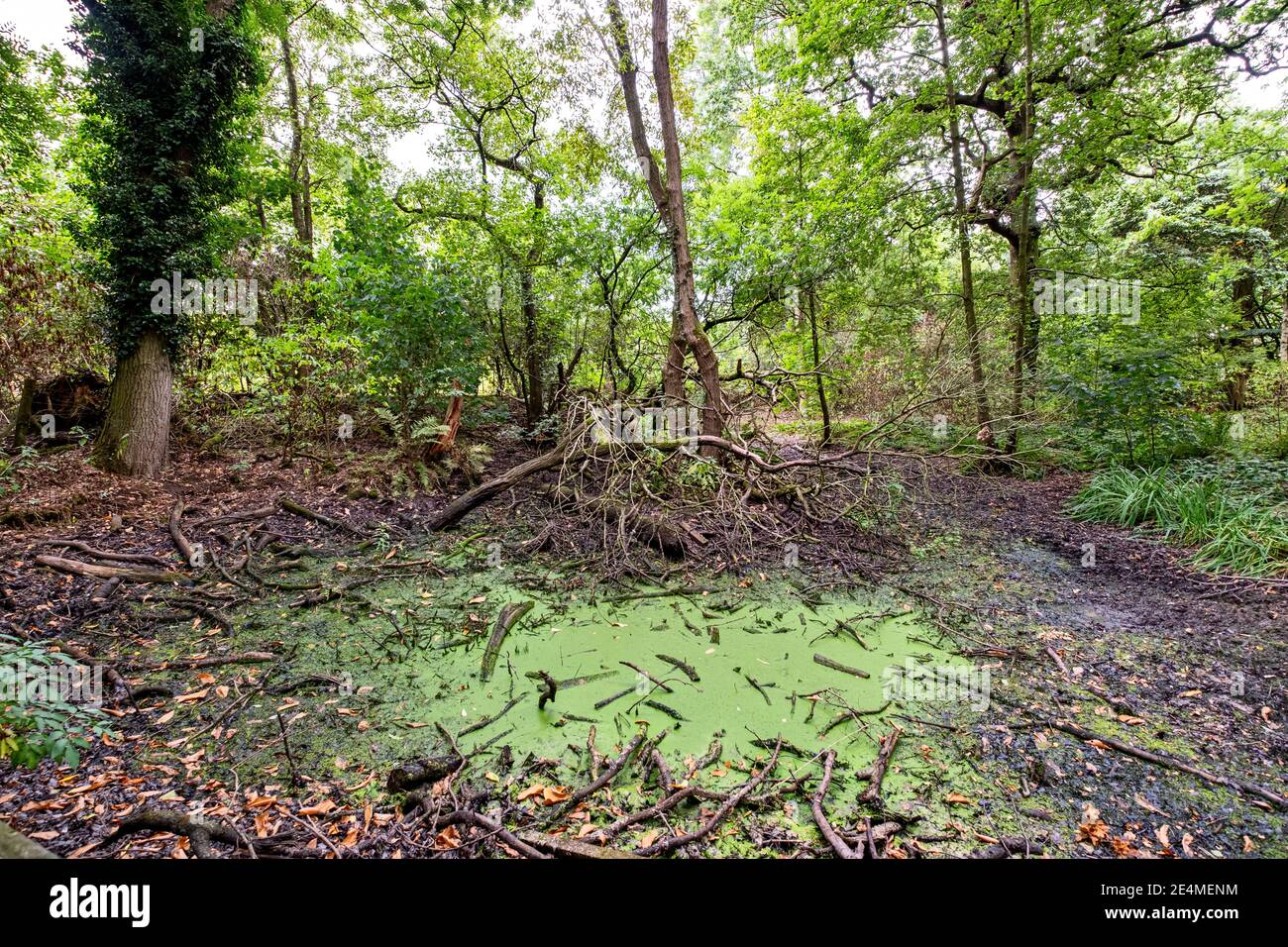Crewe business park the greenway hi-res stock photography and images ...
