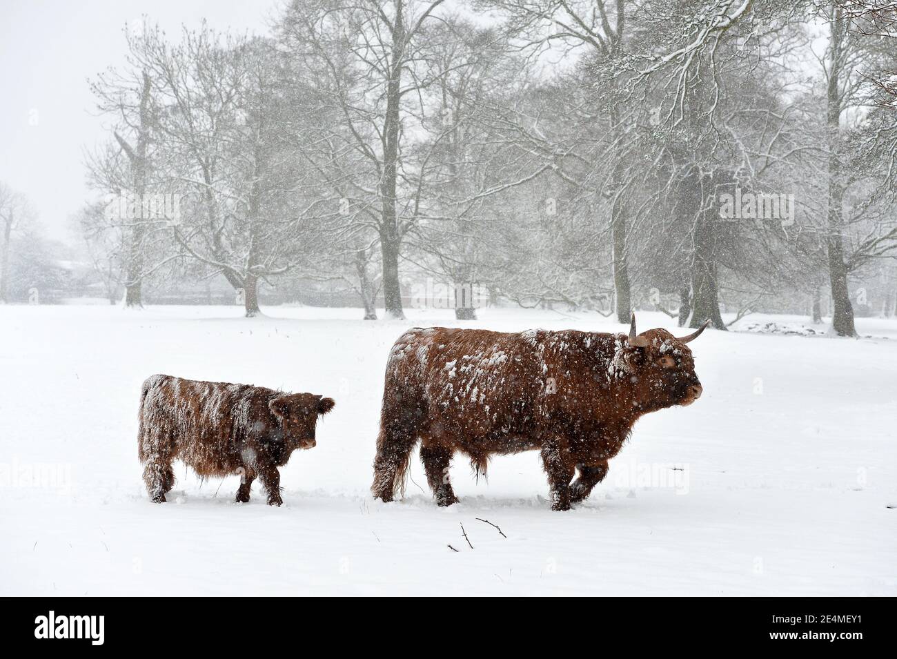 Wanlip hi-res stock photography and images - Alamy